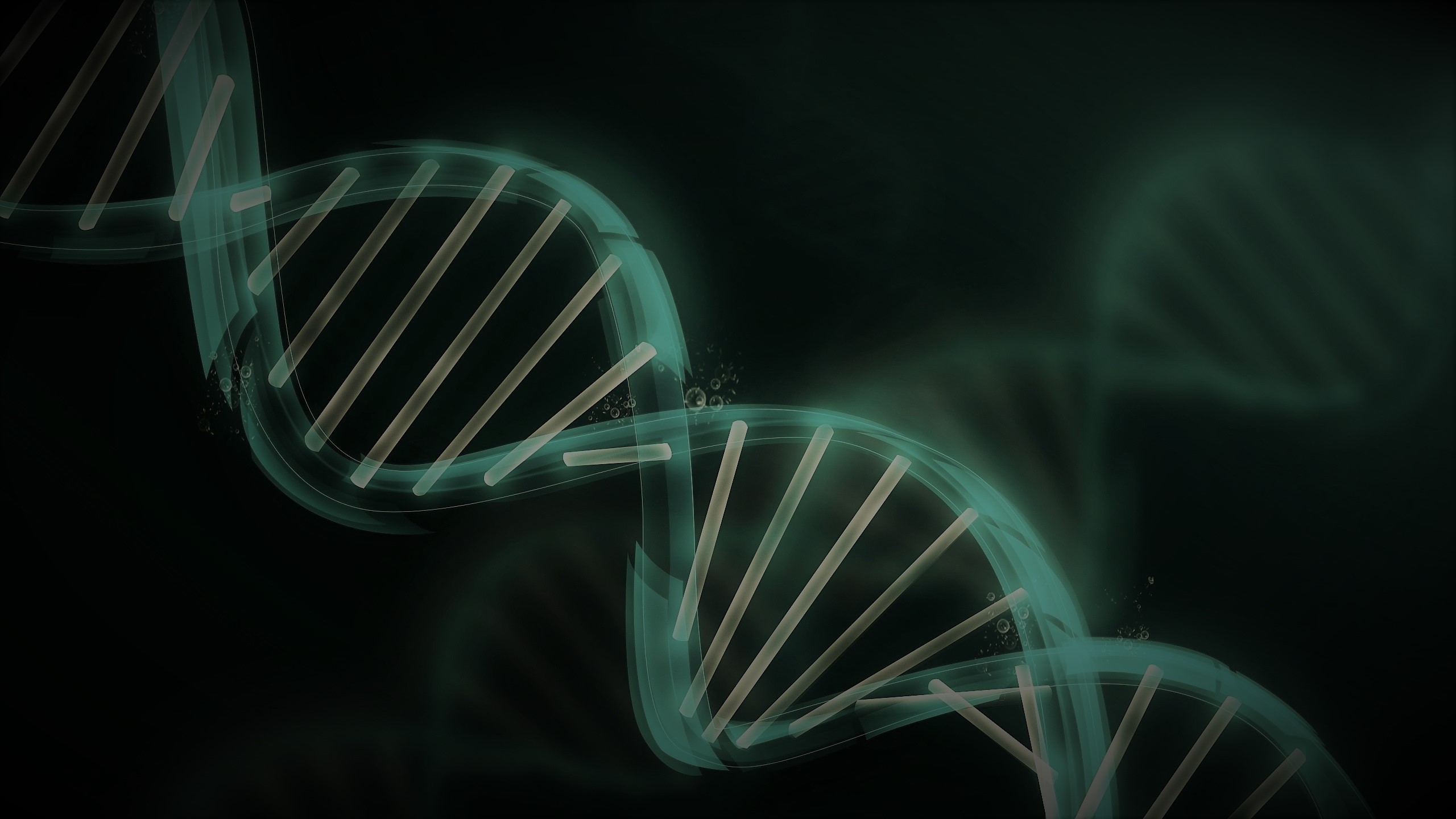 gnomAD: expanding multi-allelic variants in VCF (Part 2) – Dimitrios ...